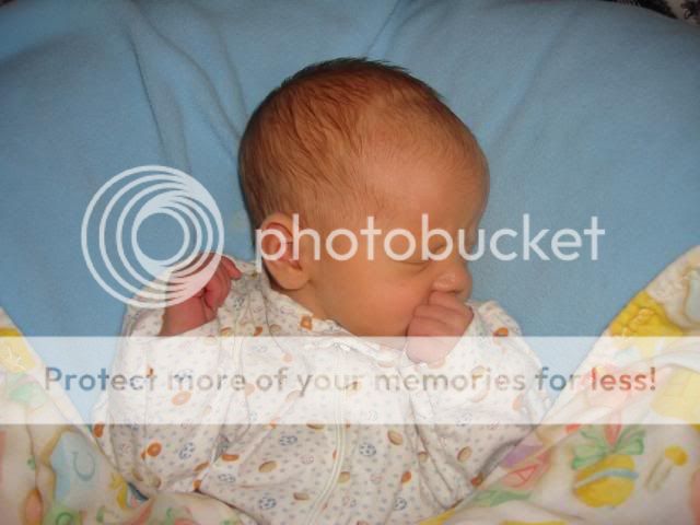 Ridge on head — The Bump