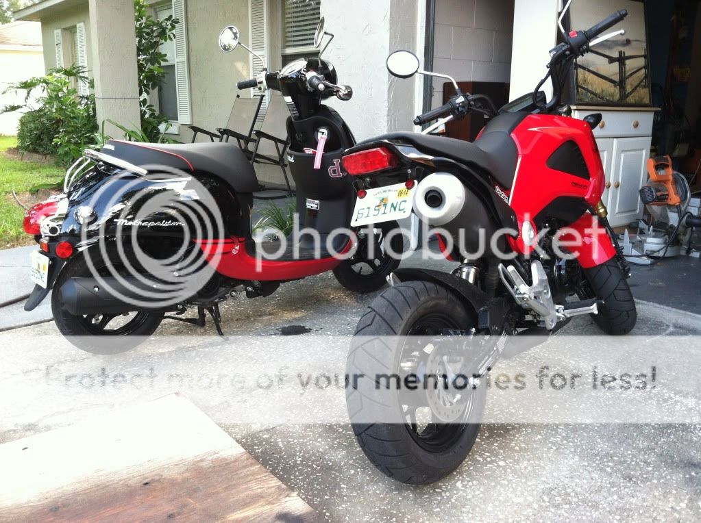 Strokd_GE's GRnOM build thread | Honda Grom