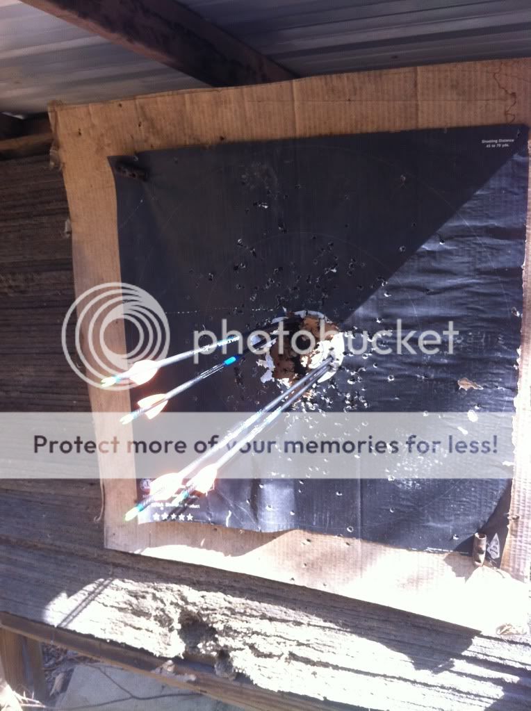 Cbe sight tapes | Archery Talk Forum