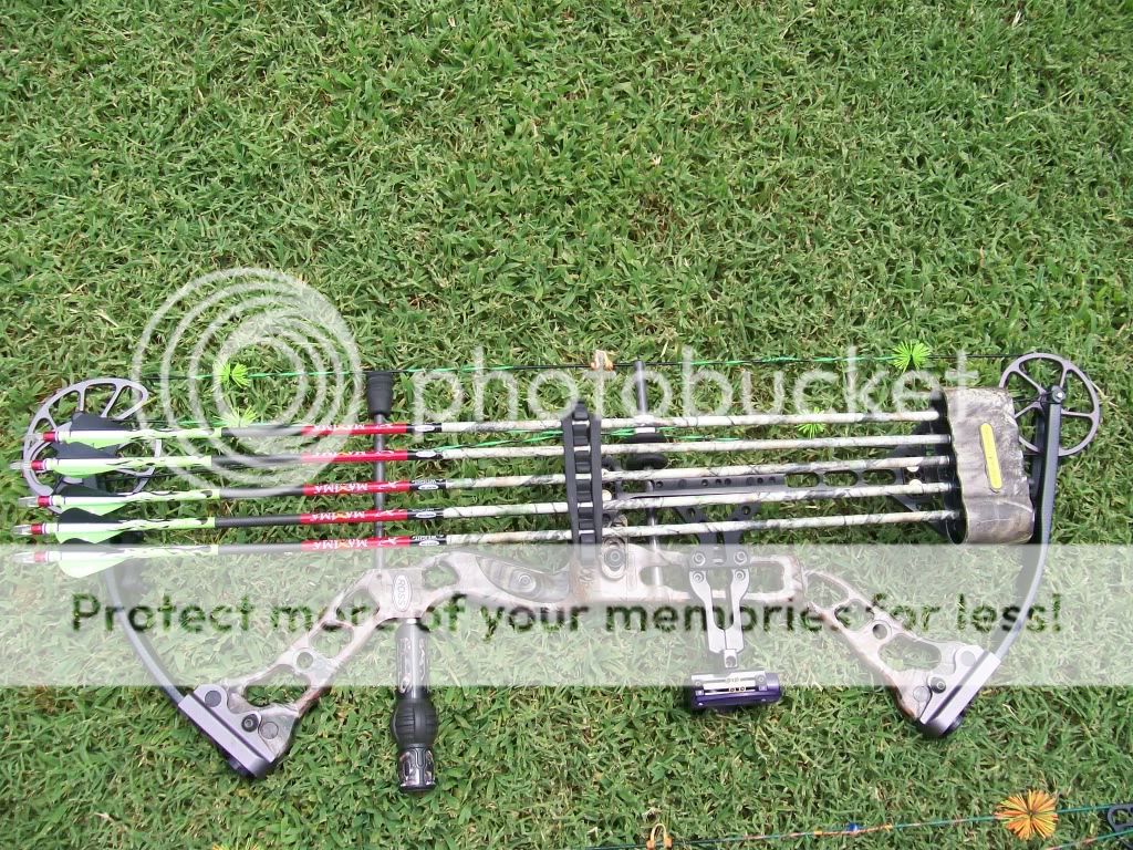 Ross pics! | Archery Talk Forum