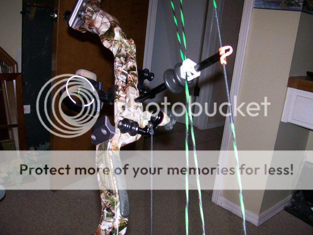 lets see your custom bow string colors! | Archery Talk Forum